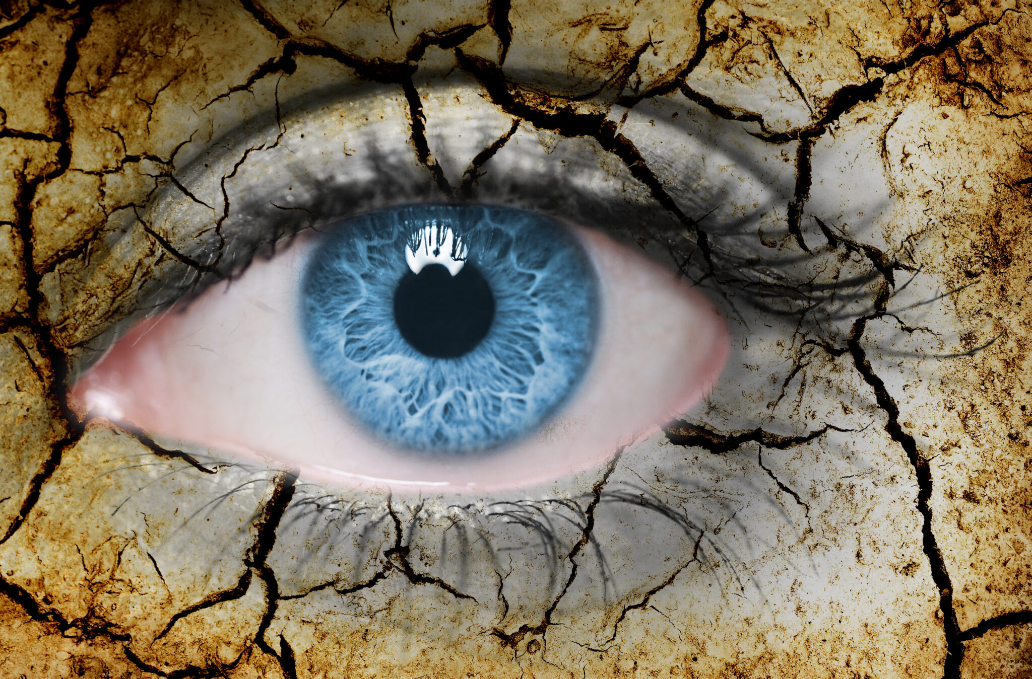 Services – The Eye Site Mount Pleasant Michigan – Eye Doctors