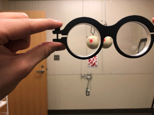Neuro-Visual Optometry – The Eye Site Mount Pleasant Michigan – Eye Doctors